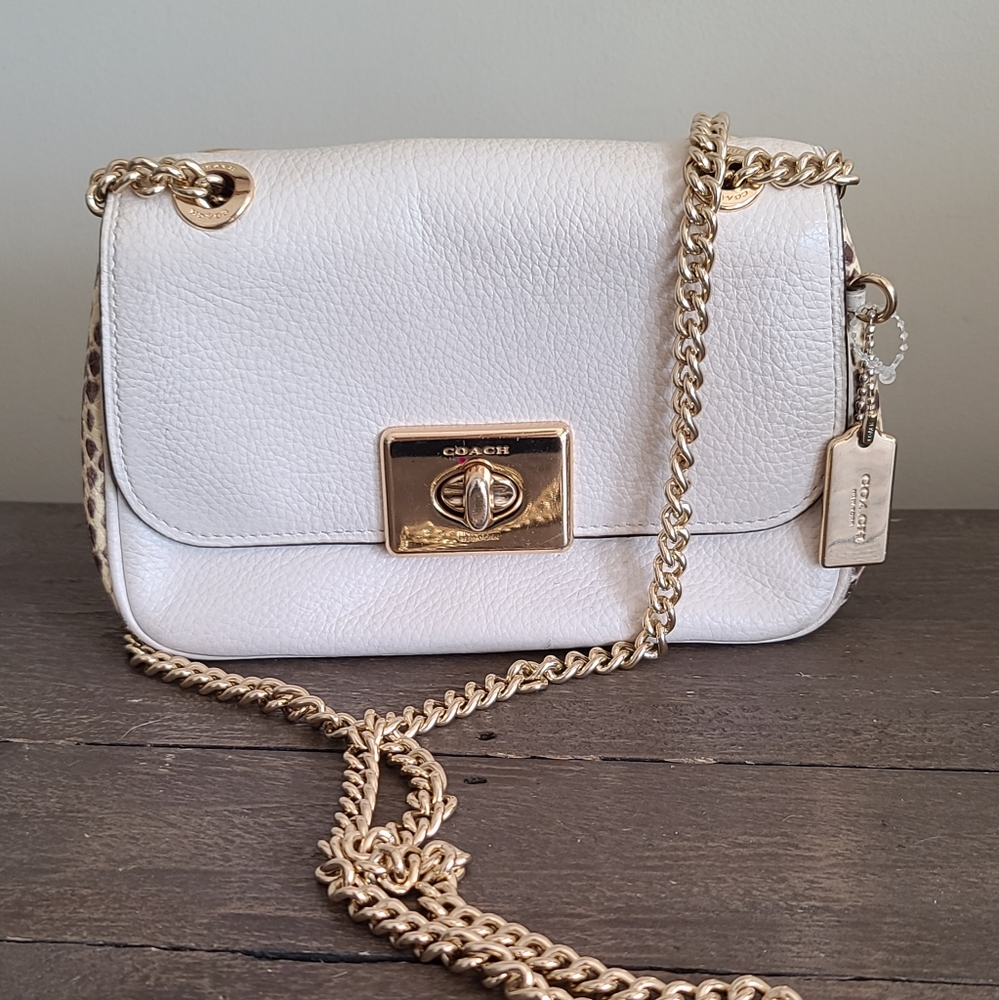 Coach Cassidy Leather Snake Embossed Crossbody Style … - Gem
